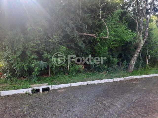 Terreno em Condomínio para Venda em Viamão/RS São Lucas