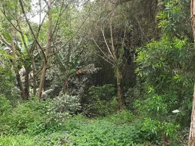 Terreno em Condomínio para Venda em Viamão/RS São Lucas