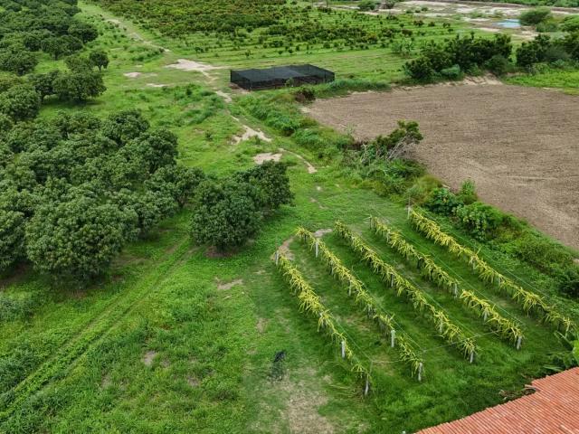 Terreno em Condomínio para Venda em Açu/RN Centro