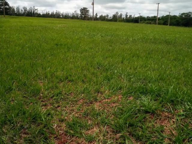 Terreno em Condomínio para Venda em Águas de Santa Bárbara/SP Thermas de Santa Barbara