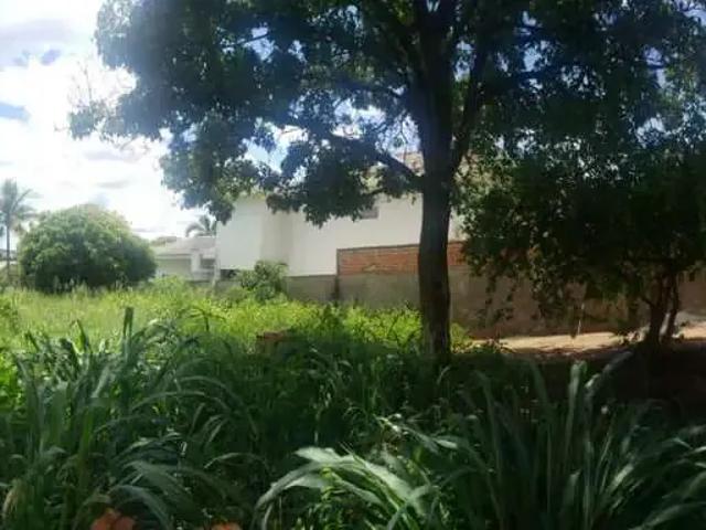 Terreno em Condomínio para Venda em Álvares Machado/SP Gramado Park Residencial