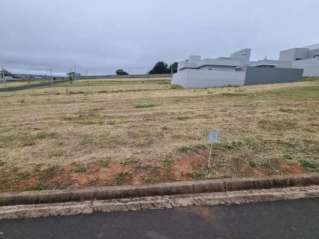 Terreno em Condomínio para Venda em Álvares Machado/SP Residencial Portinari II
