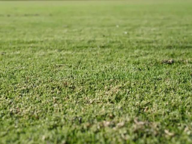 Terreno em Condomínio para Venda em Americana/SP Fazenda Santa Lúcia