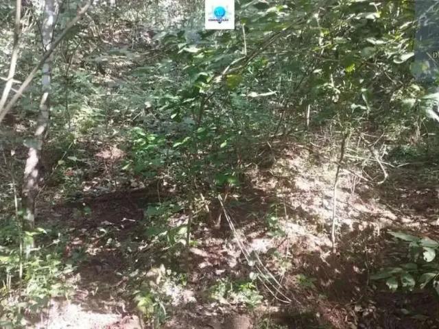Terreno em Condomínio para Venda em Anápolis/GO Centro