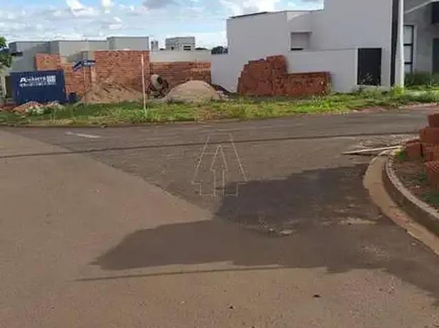 Terreno em Condomínio para Venda em Araçatuba/SP Aeroporto