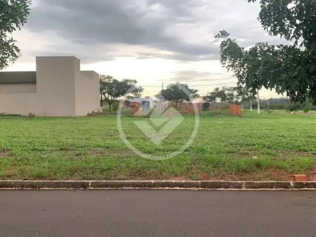 Terreno em Condomínio para Venda em Araçatuba/SP Monterrey