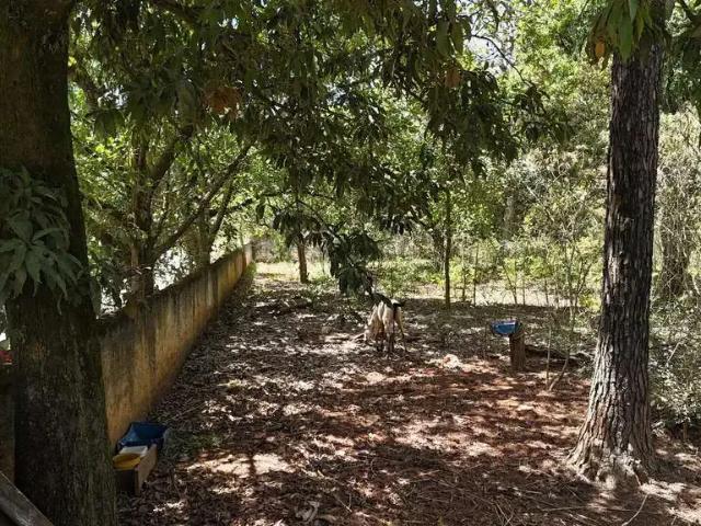 Terreno em Condomínio para Venda em Araçoiaba da Serra/SP Jardim Maria da Glória 1 Quartos