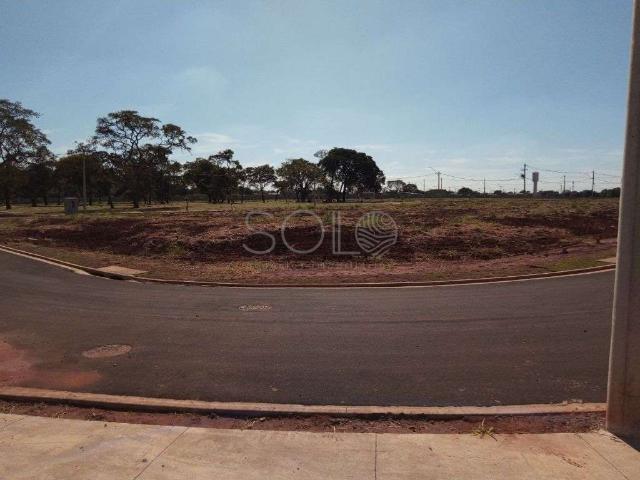 Terreno em Condomínio para Venda em Araraquara/SP Residencial Village Damha