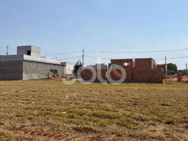 Terreno em Condomínio para Venda em Araraquara/SP Residencial Village Damha