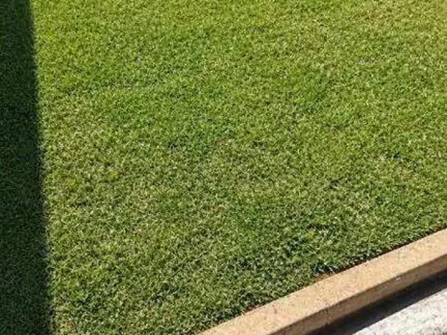 Terreno em Condomínio para Venda em Araras/SP Jardim Residencial Lagoa