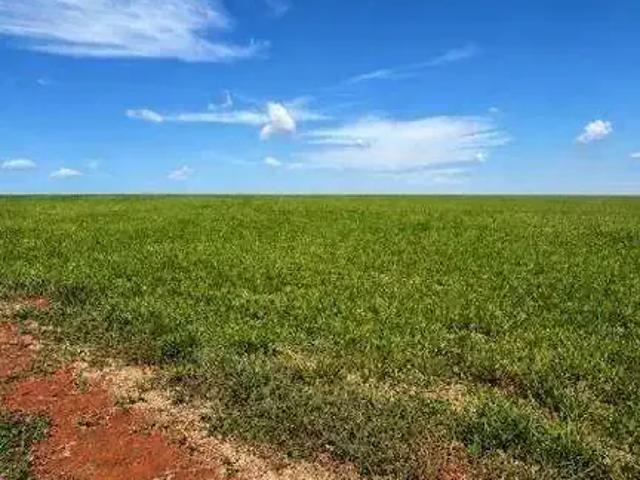 Terreno em Condomínio para Venda em Araras/SP Parque Portal das Laranjeiras