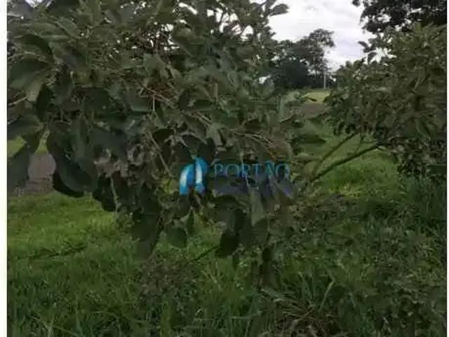 Terreno em Condomínio para Venda em Arealva/SP Palmas Del Rey