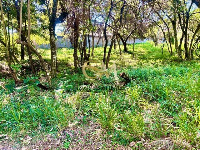 Terreno em Condomínio para Venda em Atibaia/SP Bairro dos Pires