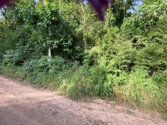 Terreno em Condomínio para Venda em Atibaia/SP Recanto dos Palmares