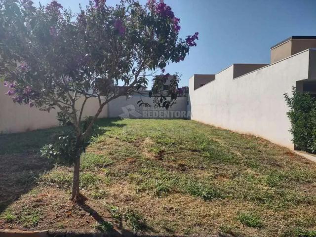 Terreno em Condomínio para Venda em Bady Bassitt/SP Condomínio Jardim Botânico