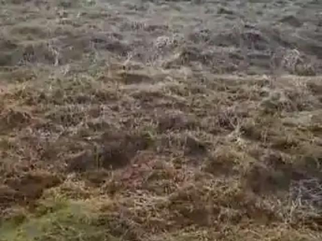 Terreno em Condomínio para Venda em Barueri/SP Parque Viana