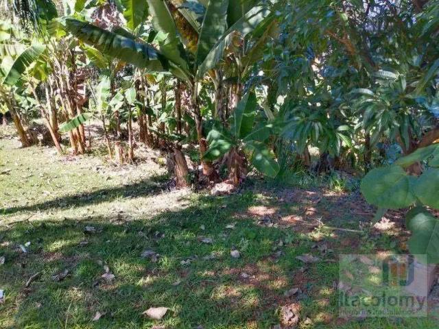 Terreno em Condomínio para Venda em Barueri/SP Tamboré