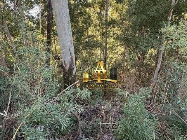 Terreno em Condomínio para Venda em Barueri/SP Residencial Tamboré