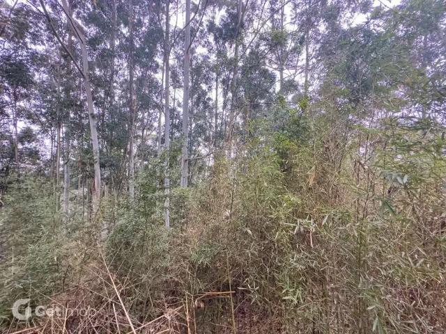 Terreno em Condomínio para Venda em Barueri/SP Residencial Tamboré