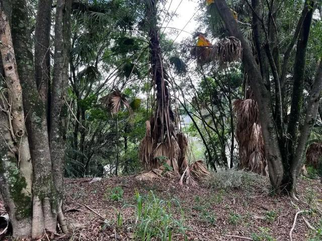 Terreno em Condomínio para Venda em Barueri/SP Residencial Tamboré