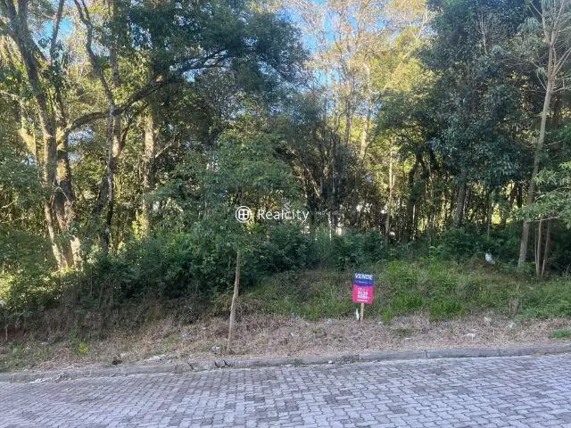 Terreno em Condomínio para Venda em Bento Gonçalves/RS Borgo