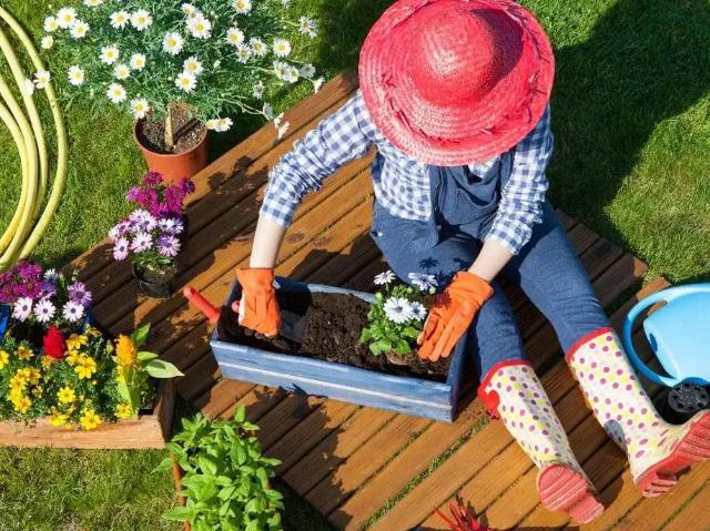Terreno em Condomínio para Venda em Betim/MG Gentileza