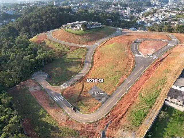 Terreno em Condomínio para Venda em Blumenau/SC Itoupava Norte