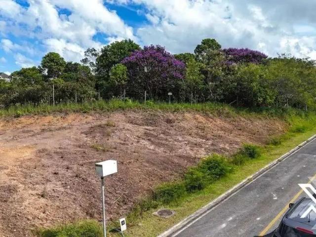 Terreno em Condomínio para Venda em Blumenau/SC Ponta Aguda
