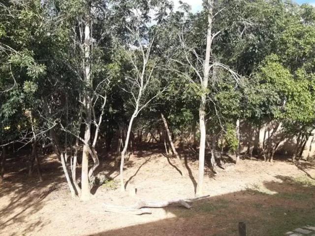 Terreno em Condomínio para Venda em Brasília/DF Setor Habitacional Jardim Botânico