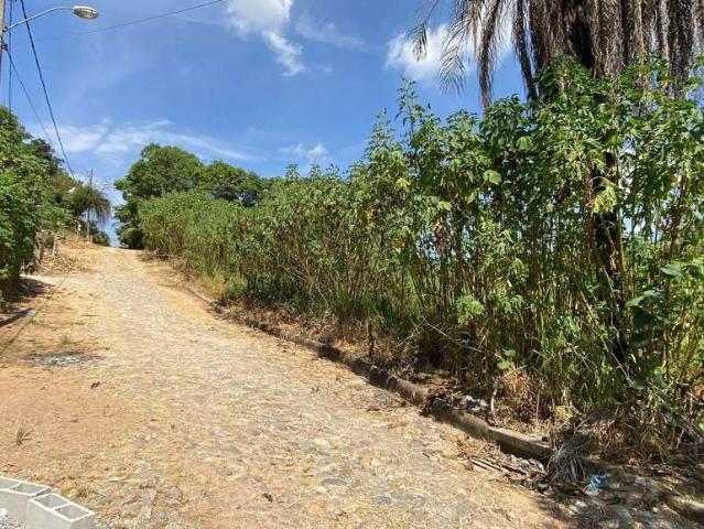 Terreno em Condomínio para Venda em Brumadinho/MG Condomínio das Águas Claras
