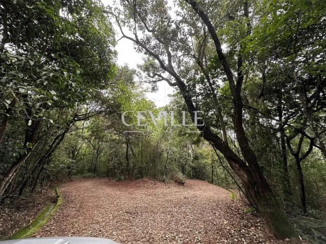 Terreno em Condomínio para Venda em Brumadinho/MG Casa Branca
