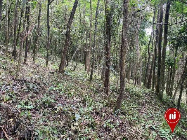 Terreno em Condomínio para Venda em Brumadinho/MG Casa Branca