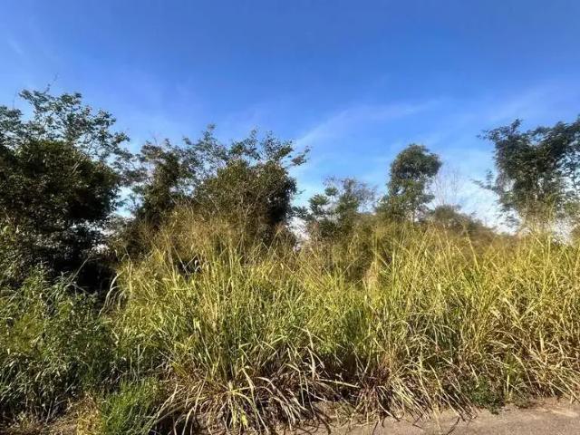 Terreno em Condomínio para Venda em Brumadinho/MG Asa Ville
