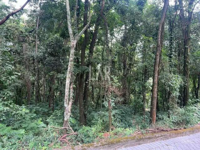 Terreno em Condomínio para Venda em Brumadinho/MG Retiro do Chalé