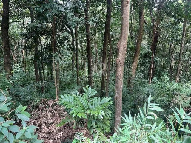 Terreno em Condomínio para Venda em Brumadinho/MG Retiro do Chalé