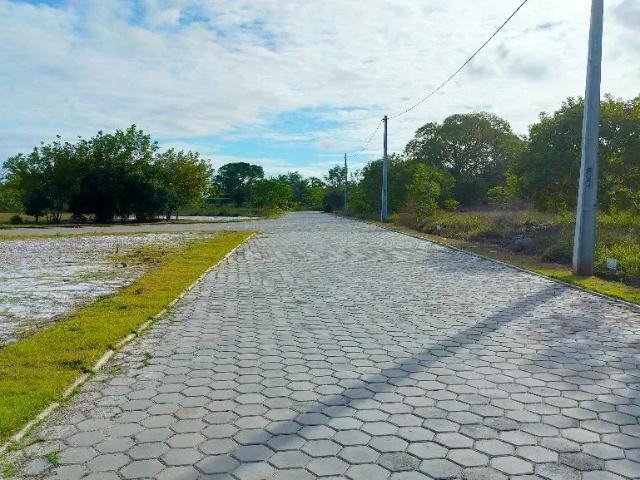 Terreno em Condomínio para Venda em Camaçari/BA Guarajuba