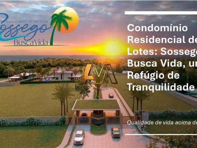 Terreno em Condomínio para Venda em Camaçari/BA Praia de Busca Vida
