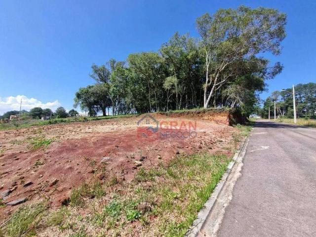 Terreno em Condomínio para Venda em Campina Grande do Sul/PR Zona Rural