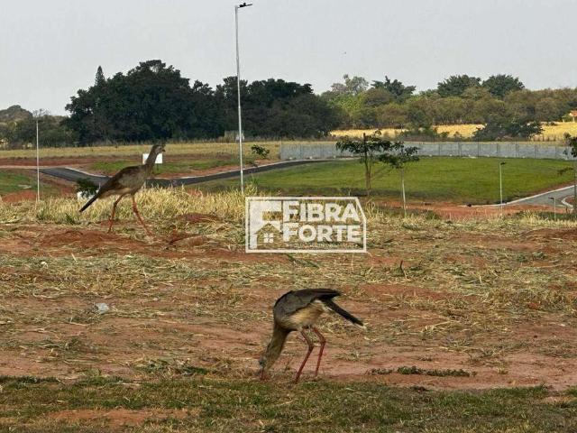 Terreno em Condomínio para Venda em Campinas/SP Alphaville