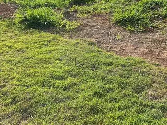 Terreno em Condomínio para Venda em Campinas/SP Alphaville Dom Pedro