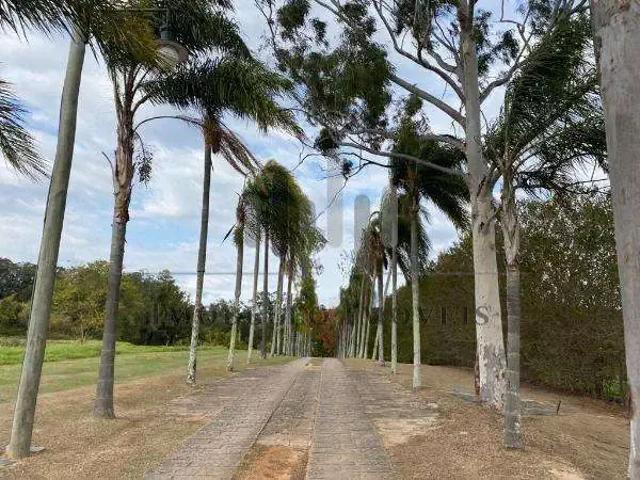 Terreno em Condomínio para Venda em Campinas/SP Jardim Martinelli Sousas