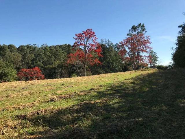 Terreno em Condomínio para Venda em Campinas/SP Jardim Martinelli Sousas