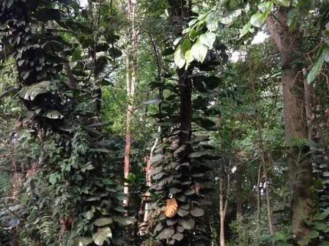 Terreno em Condomínio para Venda em Campinas/SP Jardim Santana