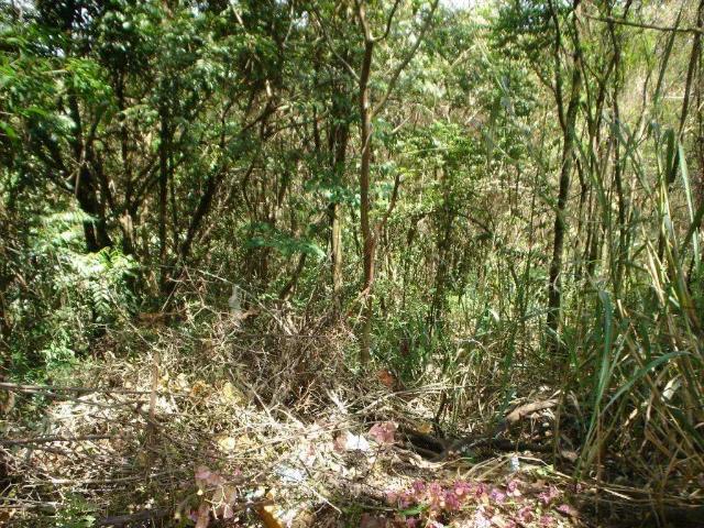 Terreno em Condomínio para Venda em Campinas/SP Jardim Sorirama Sousas