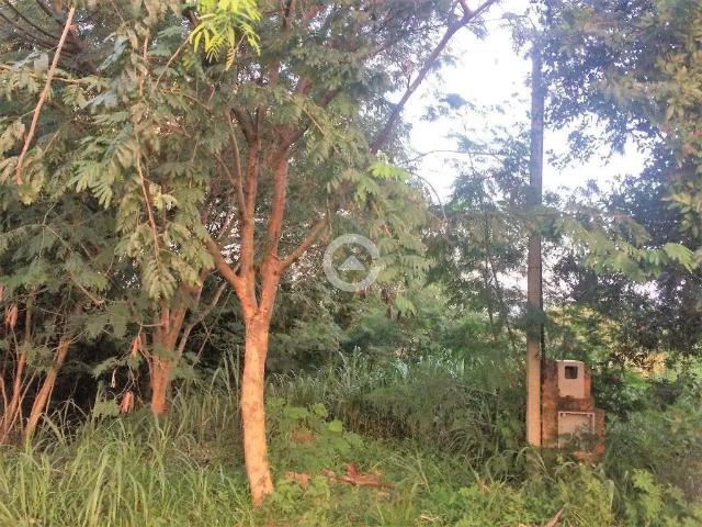 Terreno em Condomínio para Venda em Campinas/SP Loteamento Caminhos de San Conrado Sousas