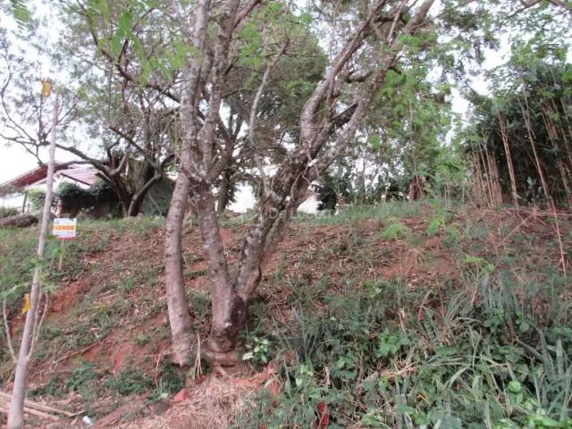 Terreno em Condomínio para Venda em Campinas/SP Loteamento Caminhos de San Conrado Sousas