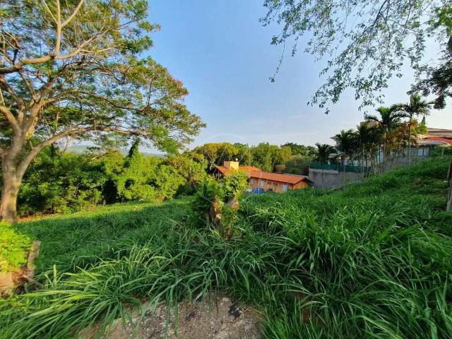 Terreno em Condomínio para Venda em Campinas/SP Loteamento Caminhos de San Conrado Sousas