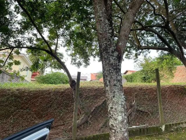 Terreno em Condomínio para Venda em Campinas/SP Loteamento Caminhos de San Conrado Sousas