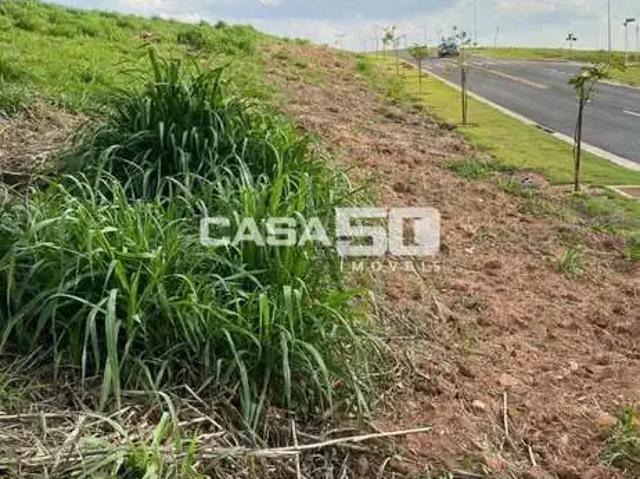 Terreno em Condomínio para Venda em Campinas/SP Loteamento Alphaville Campinas