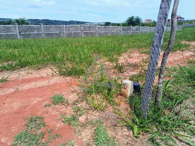 Terreno em Condomínio para Venda em Campinas/SP Loteamento Alphaville Campinas
